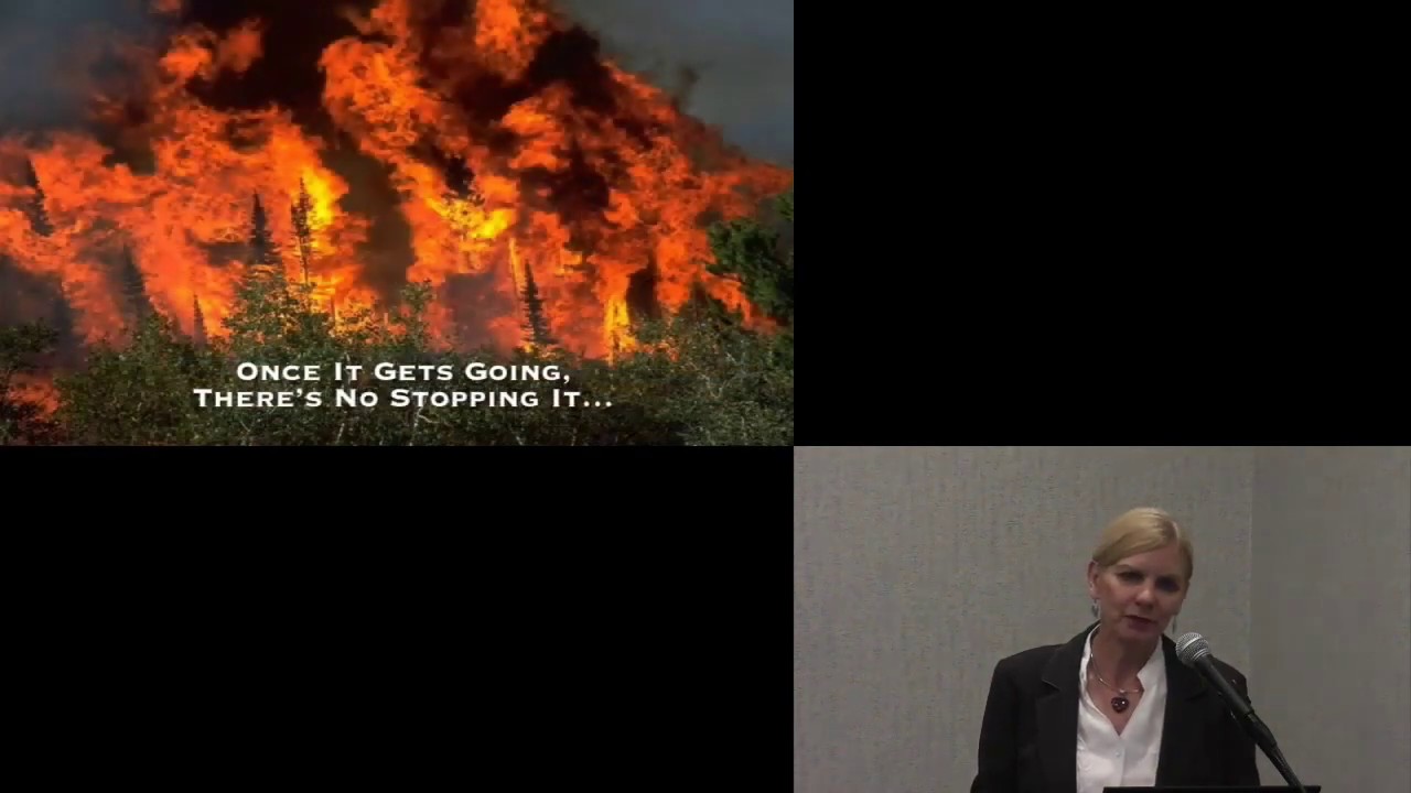 Video: Jennifer Fielder Rebukes United Nations Civil Society Conference ...