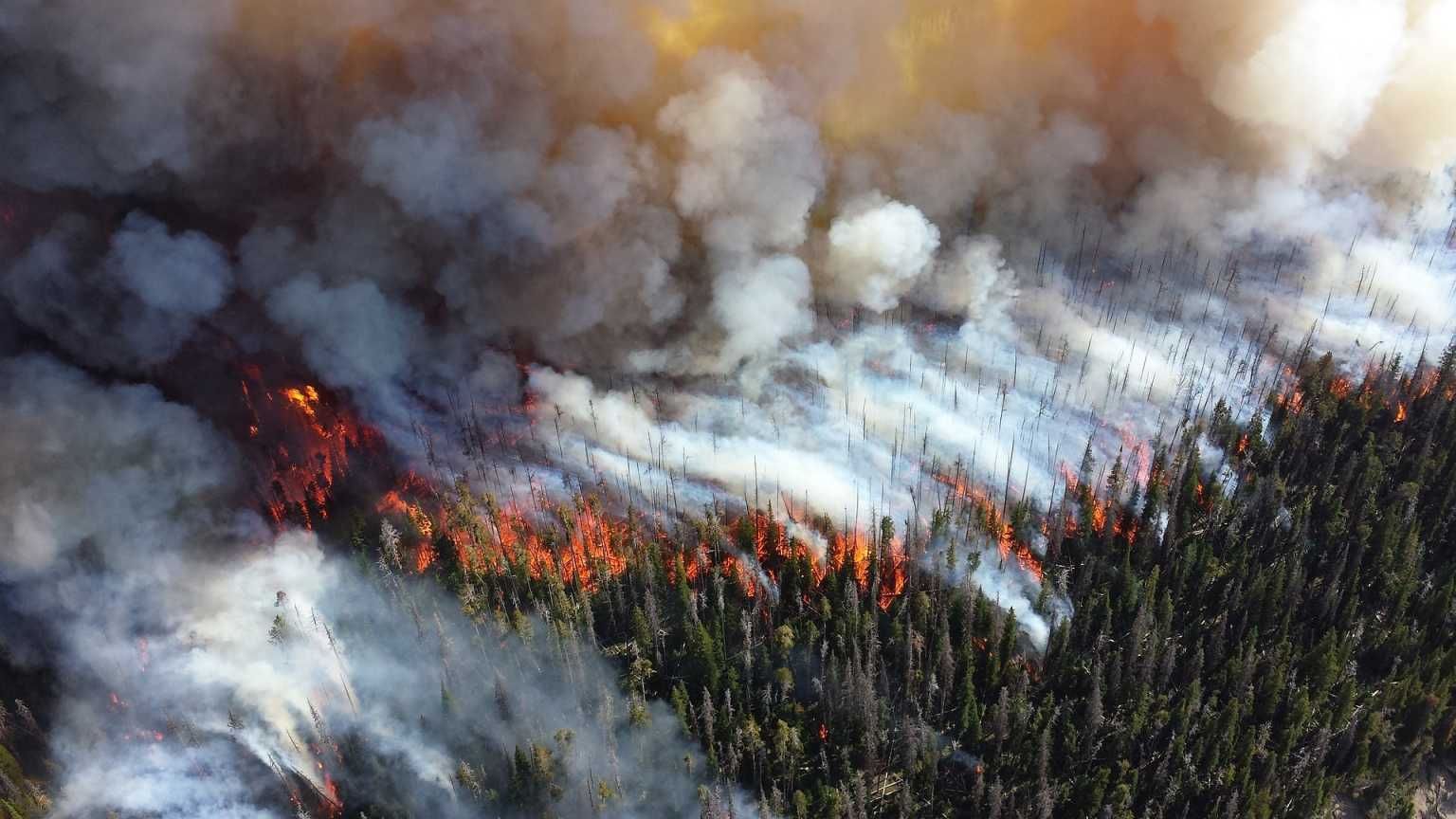 New Climate Summary Destroys Wildfire Myths - ClimateRealism